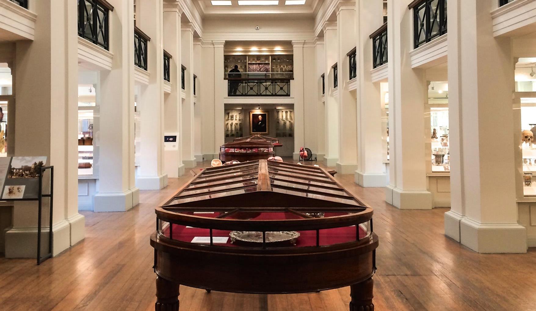 Surgeons' Hall - Museum with Disabled Access - Euan's Guide